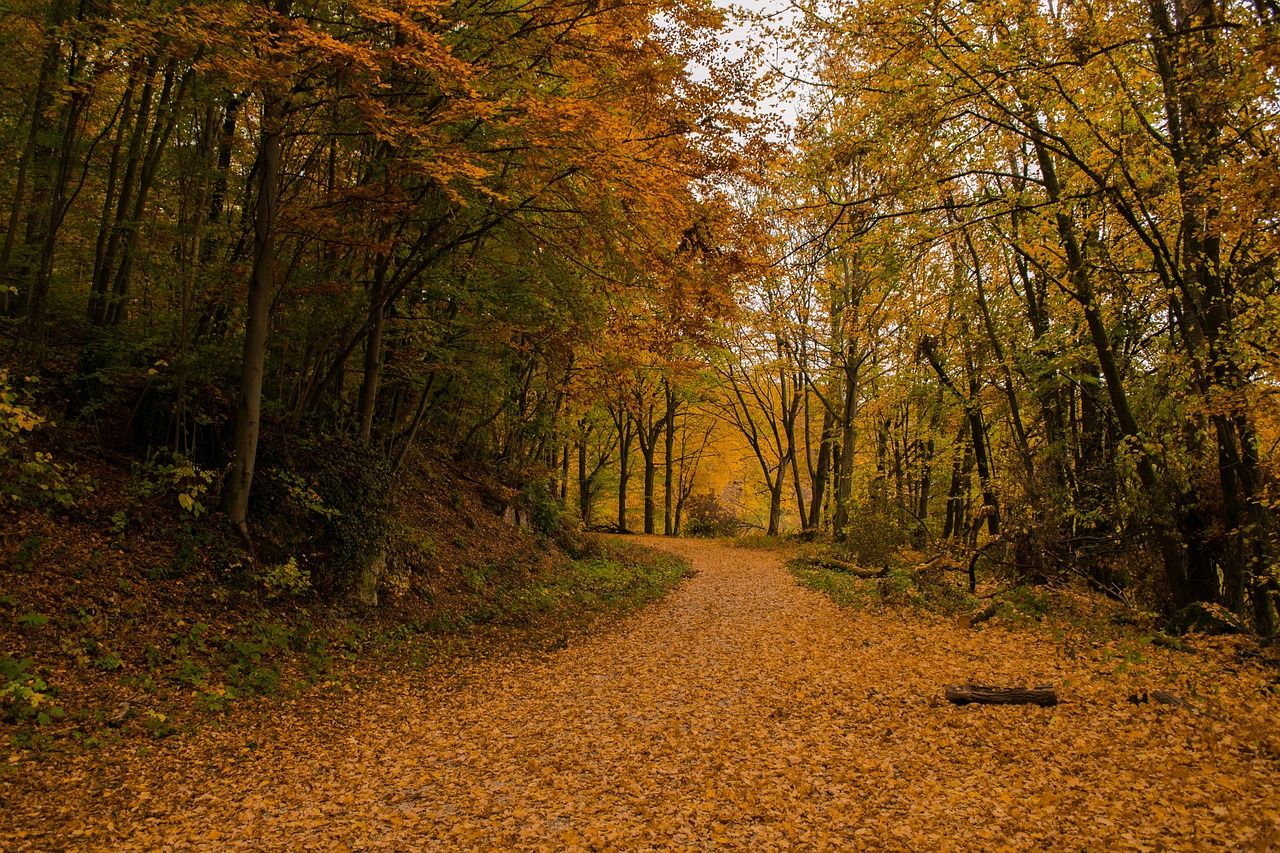 Sākas astronomiskais rudens – ReKurZeme.lv