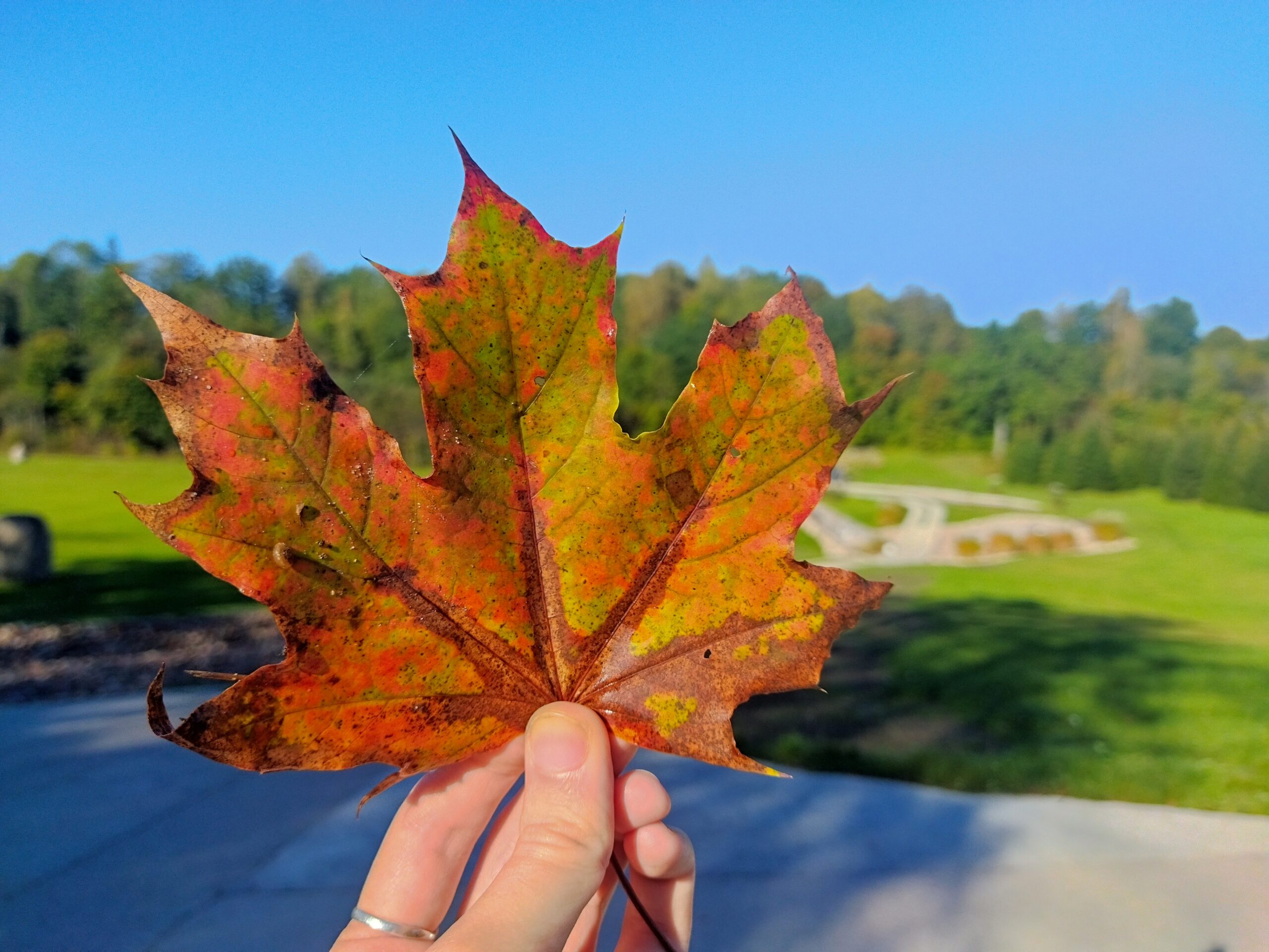 Dienvidkurzemes novadā sākas rudens tūrisma spēle “Trallalā” – ReKurZeme.lv