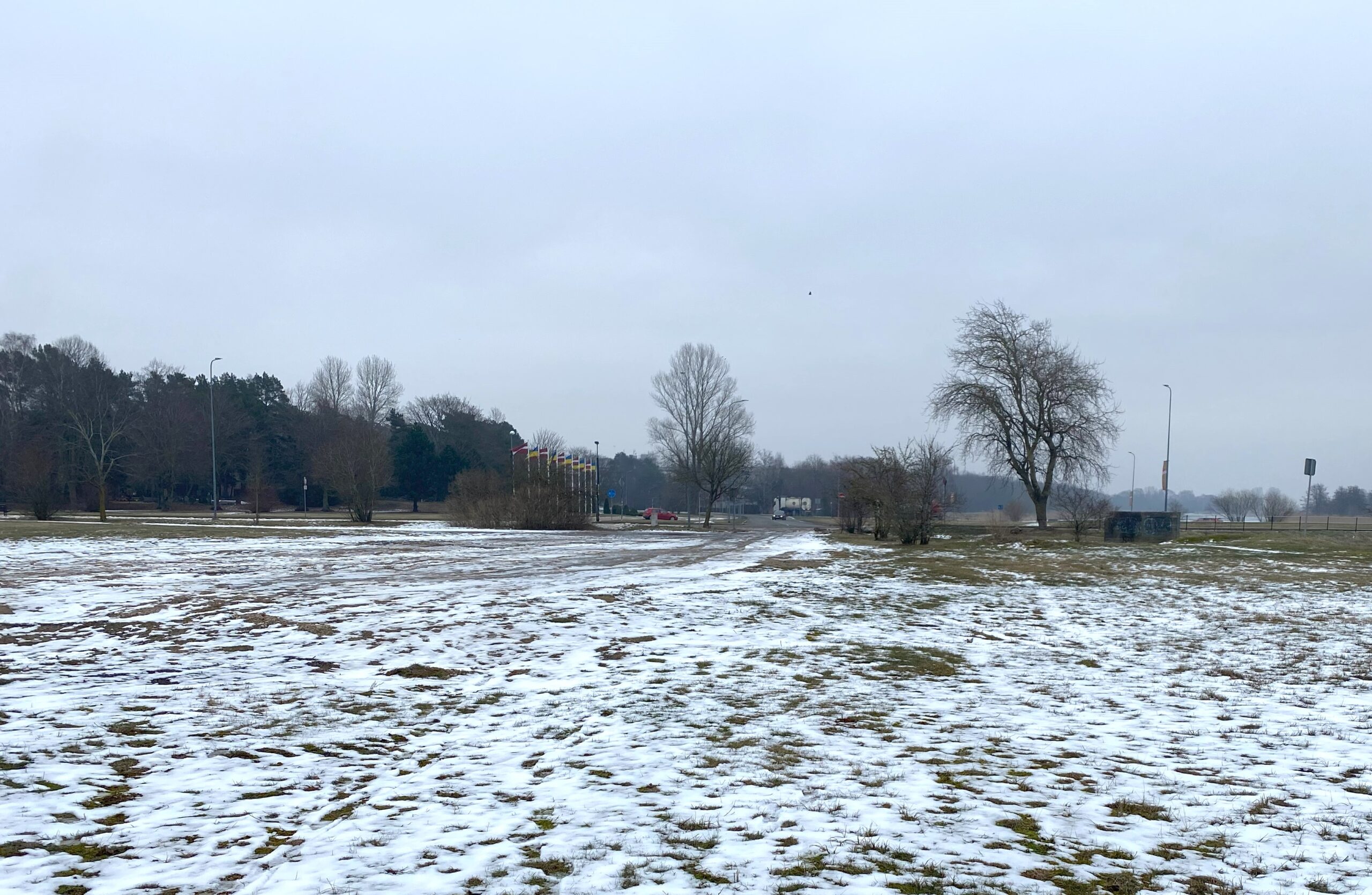 Liepājā topošajā Debess ielā plāno nocirst 15 kokus – ReKurZeme.lv